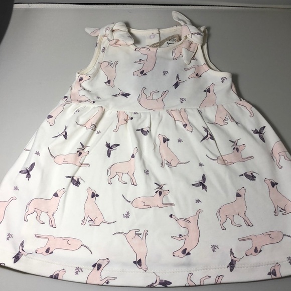 Viverano | Dresses | Kai Labrador Dog Hummingbird Dress | Poshmark